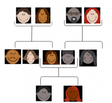 5.1 Case Study: Genes and Inheritance – Human Biology